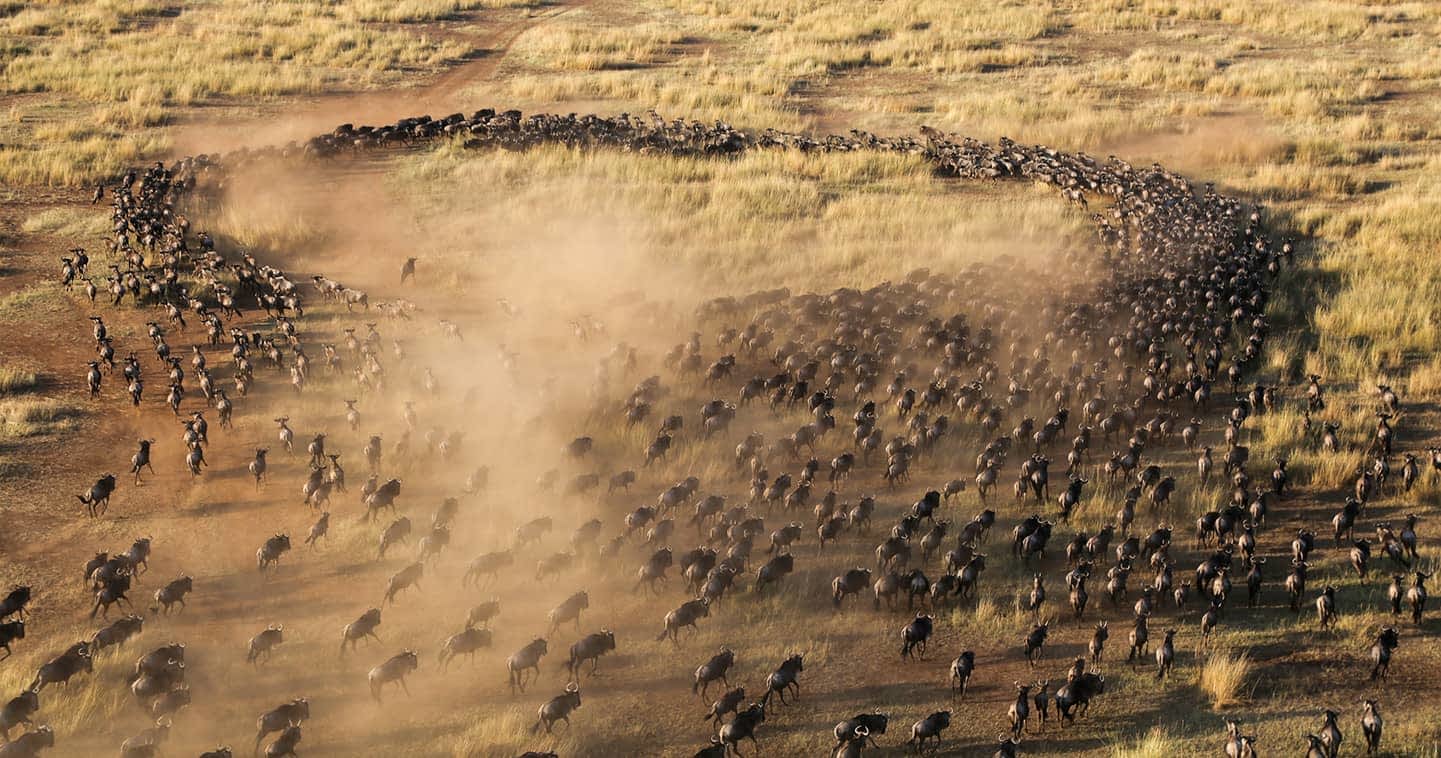 The Great Migration: When, Where and What?
