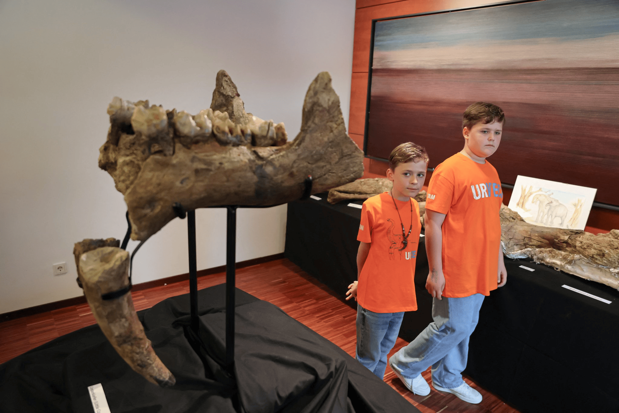 Discovered : Two Brothers Find Bones Of Prehistoric Elephant