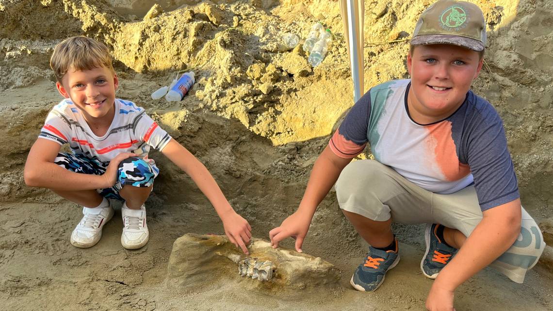 Discovered : Two Brothers Find Bones Of Prehistoric Elephant