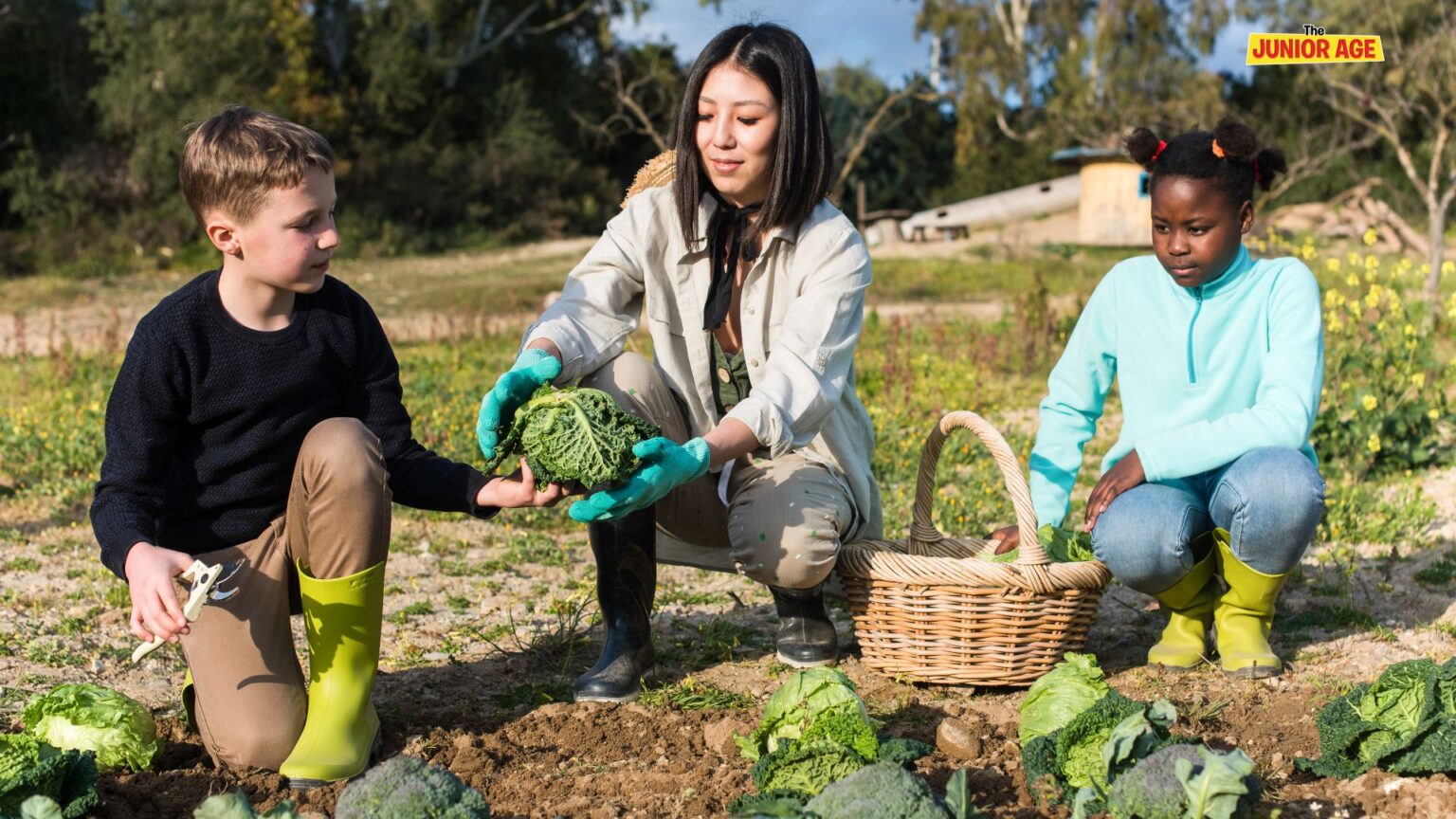 Screen-Free Summer Holiday Activities for Kids