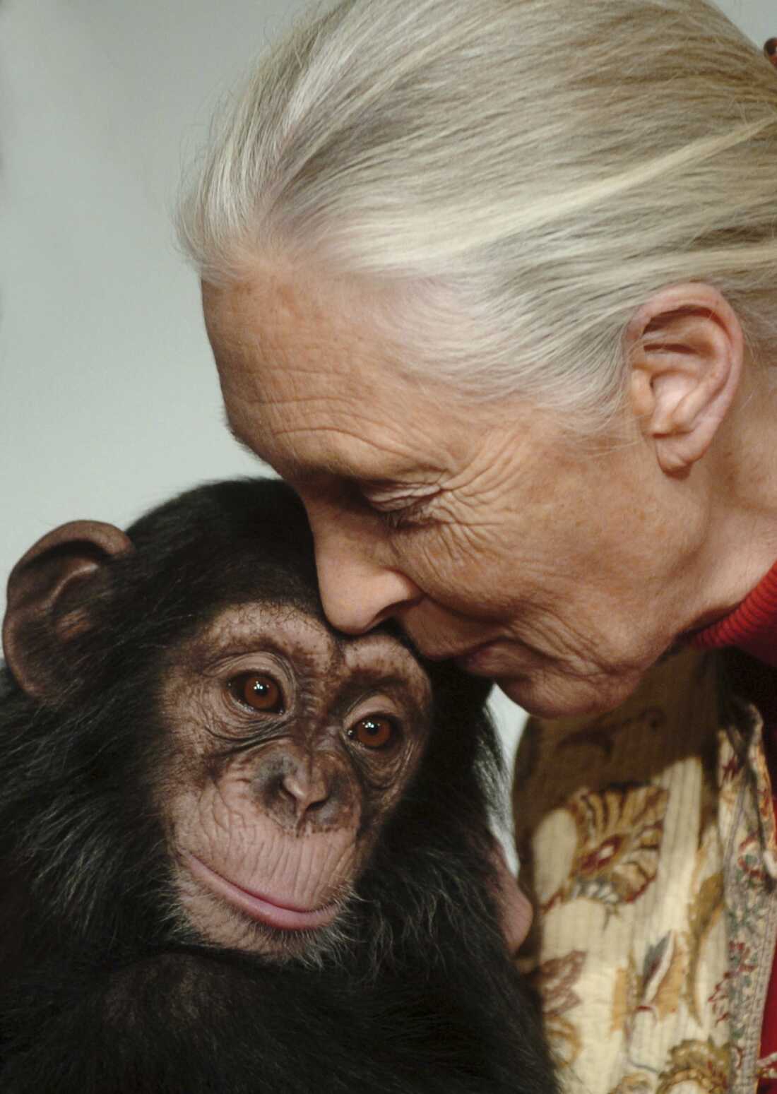 All About the Inspiring Life of Jane Goodall